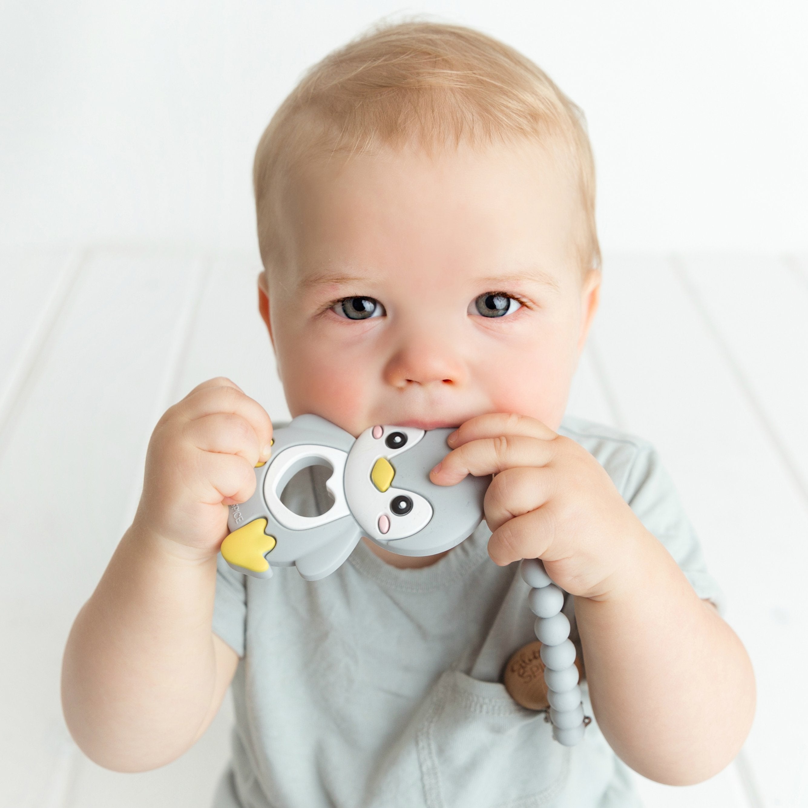 Animal & Plant Themed Teethers – Glitter & Spice